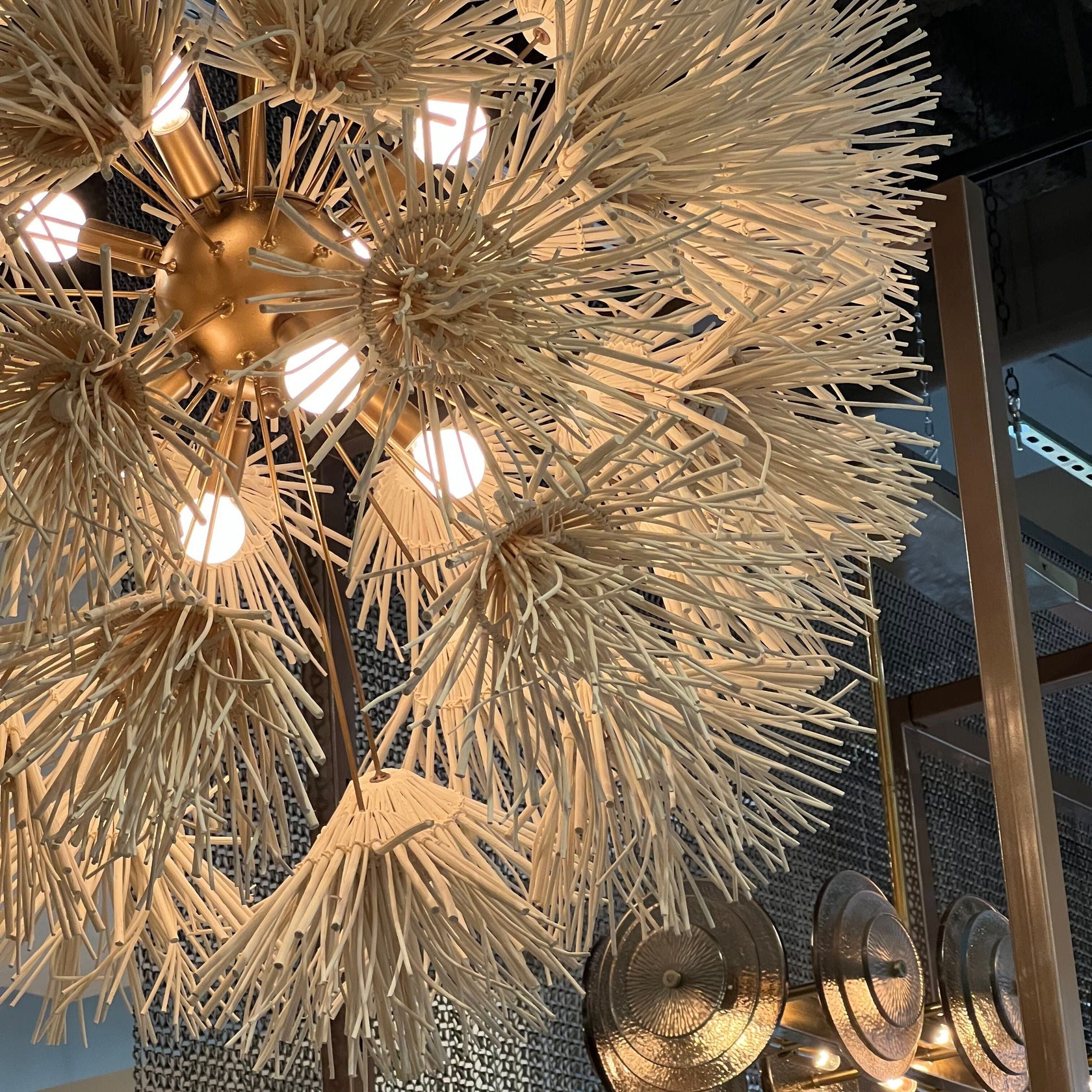 Arteriors Home Winona Chandelier in Ivory Coconut Shells – CLAYTON GRAY ...