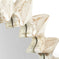 Arteriors Home Cicada Mirror Whitewashed Wood – CLAYTON GRAY HOME
