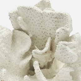 Made Goods Dempsey Object Matte White Sea Sponge – CLAYTON GRAY HOME