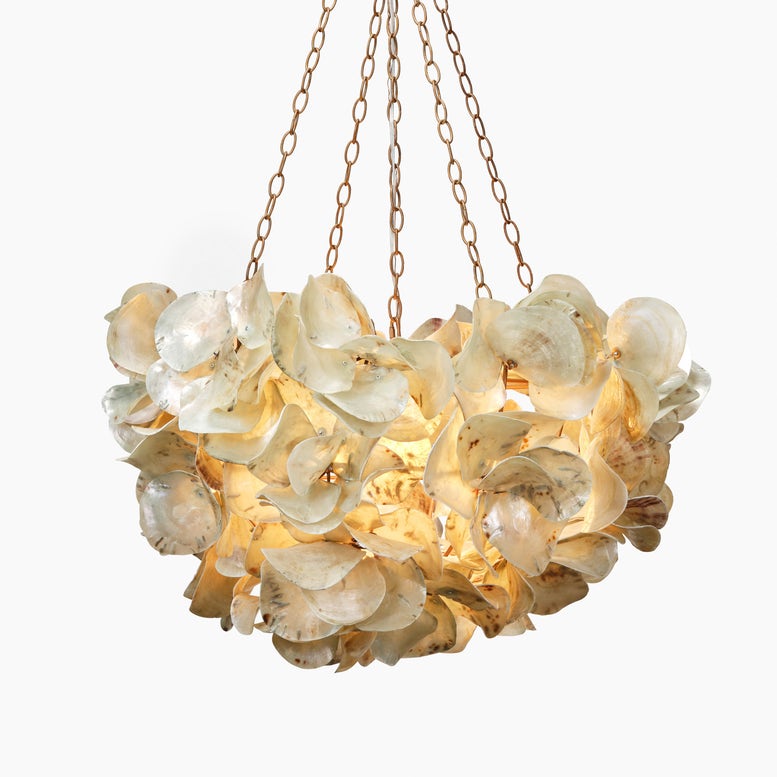Made Goods Venus Chandelier Frost Saddle Oyster Shell – CLAYTON GRAY HOME