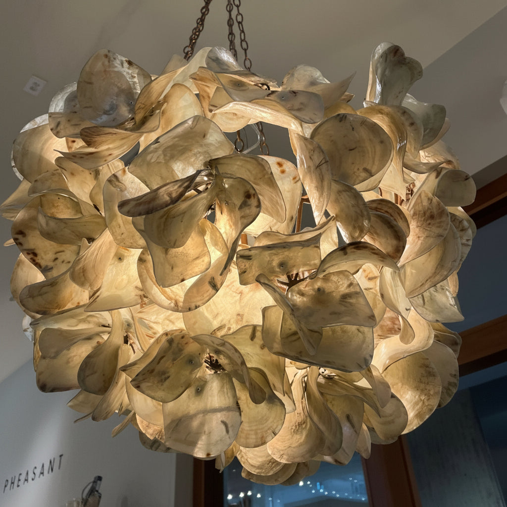 Made Goods Venus Chandelier Frost Saddle Oyster Shell – CLAYTON GRAY HOME