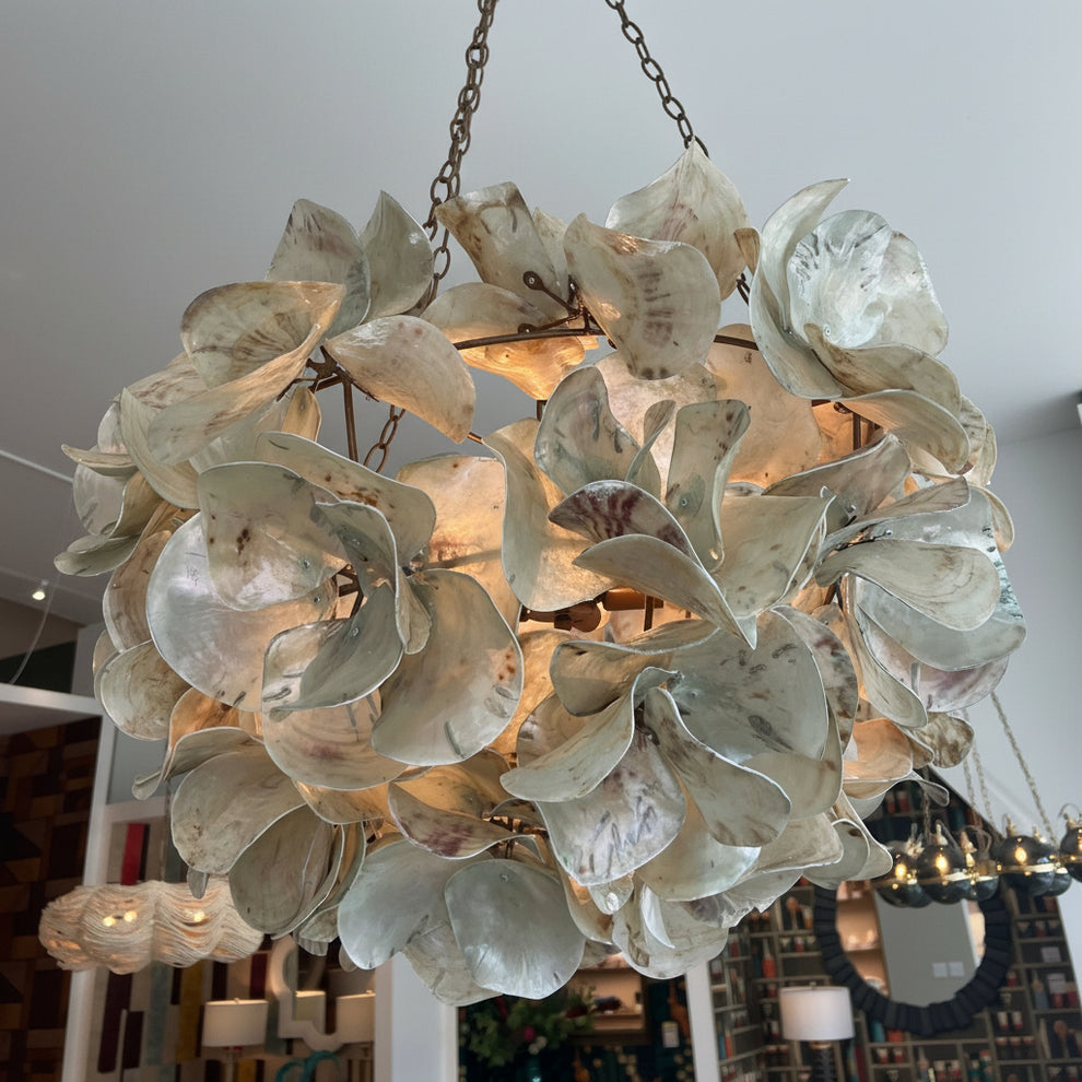 Made Goods Venus Chandelier Frost Saddle Oyster Shell – CLAYTON GRAY HOME