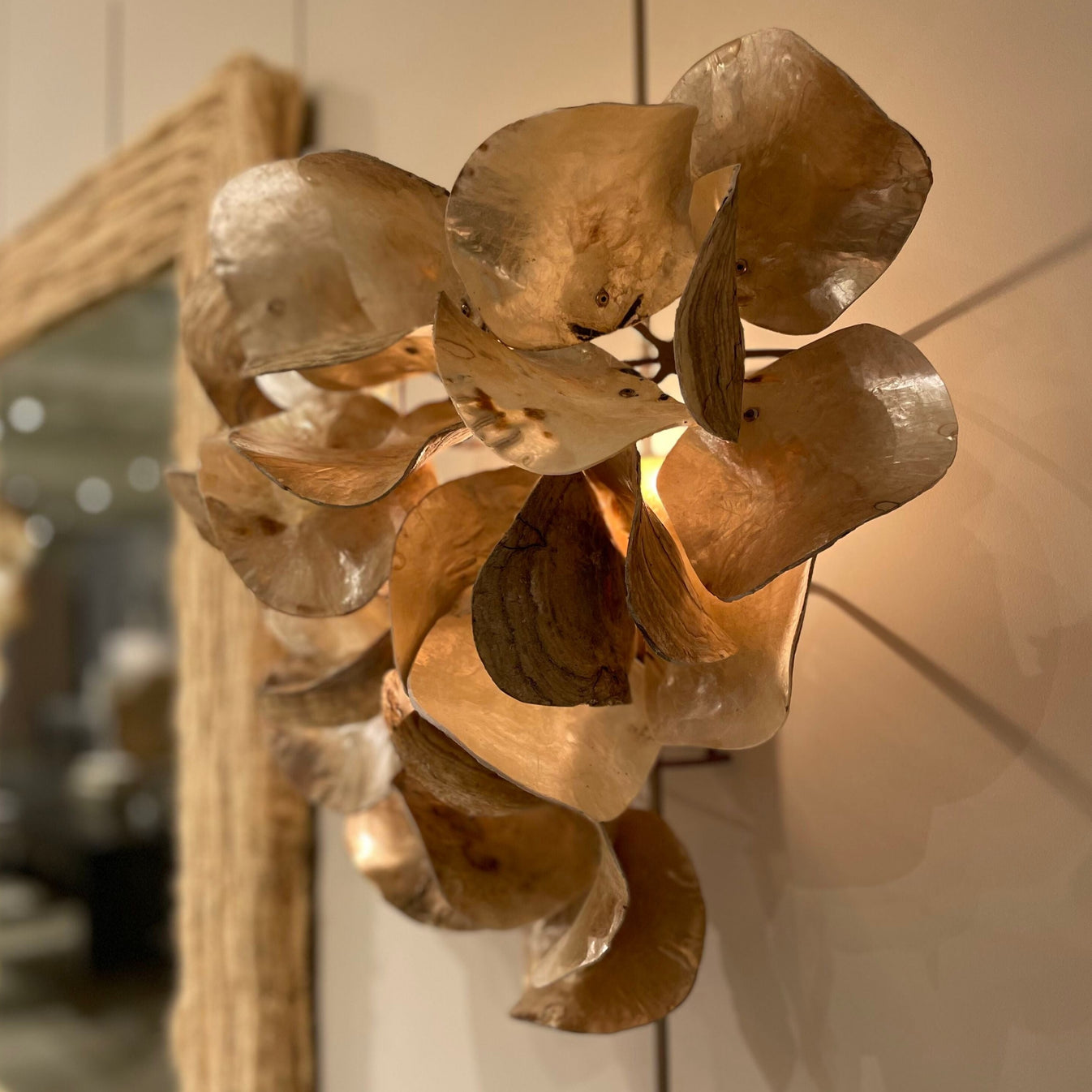 Made Goods Venus Sconce Champagne Saddle Oyster Shell – CLAYTON GRAY HOME