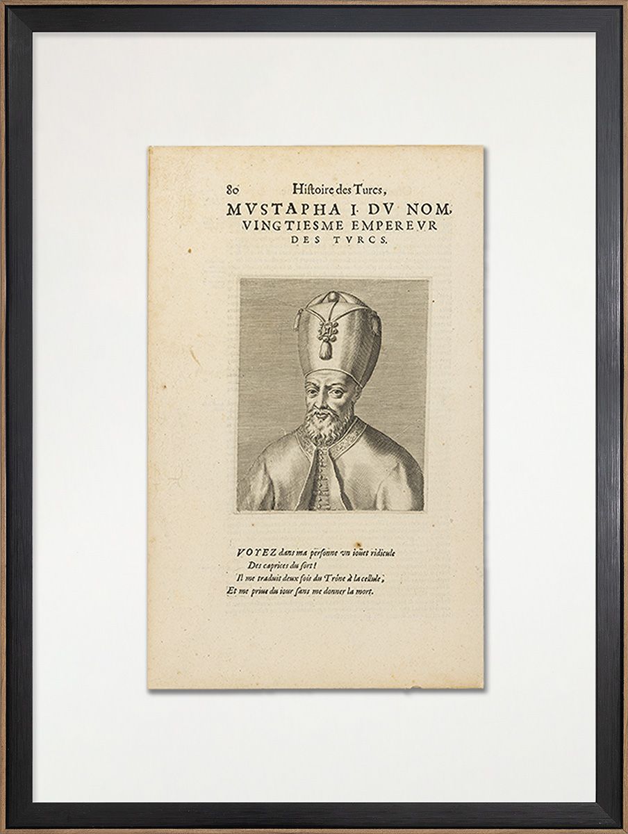 Natural Curiosities Turkish Portrait 4 Framed Artwork – CLAYTON GRAY HOME