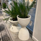 Palecek Poppy Planter White - multiple options – CLAYTON GRAY HOME