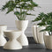 Palecek Poppy Planter White - multiple options – CLAYTON GRAY HOME