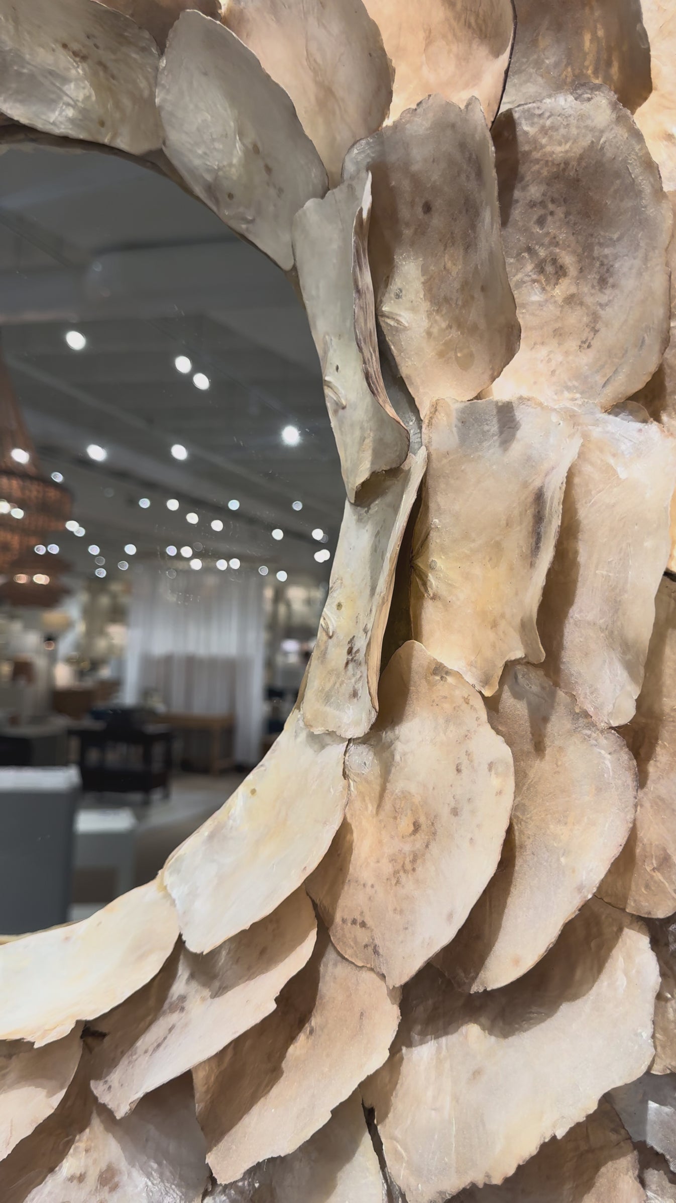 Made Goods Venus Mirror Frost Saddle Oyster Shell – CLAYTON GRAY HOME