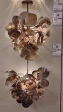 Made Goods Venus Sconce Champagne Saddle Oyster Shell – CLAYTON GRAY HOME